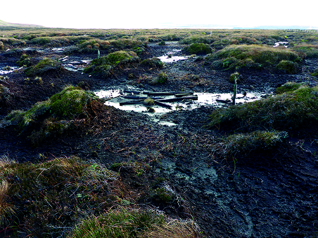 Yorkshire and Humber Climate Commission - Restoring peat bogs in our ...
